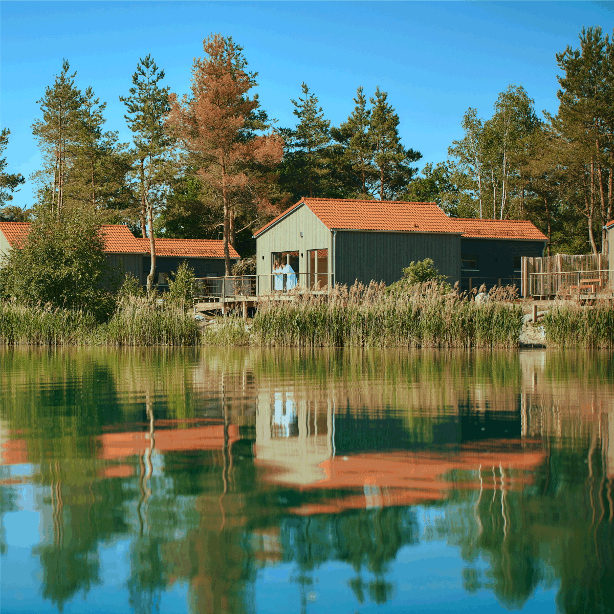 Login Stammkunden - Chalet Resort Steinberg